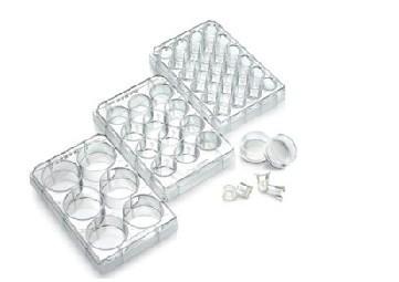 costar Transwell板3422侵袭迁移培养皿 3421 34